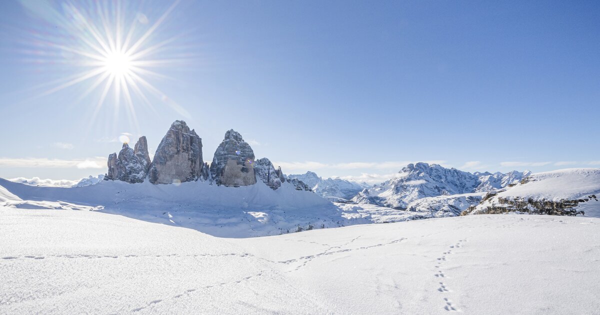 Le Tre Cime | 3 Cime Dolomiti - Drei Zinnen